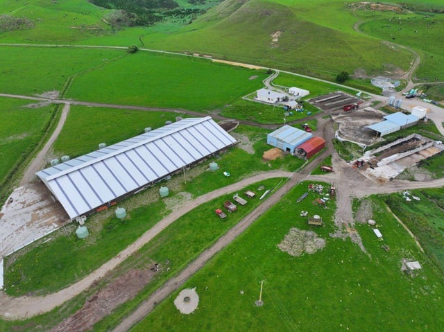 Tyrone O'Leary - Cow Composting Barn Whangaehu Manawatu Whanganui