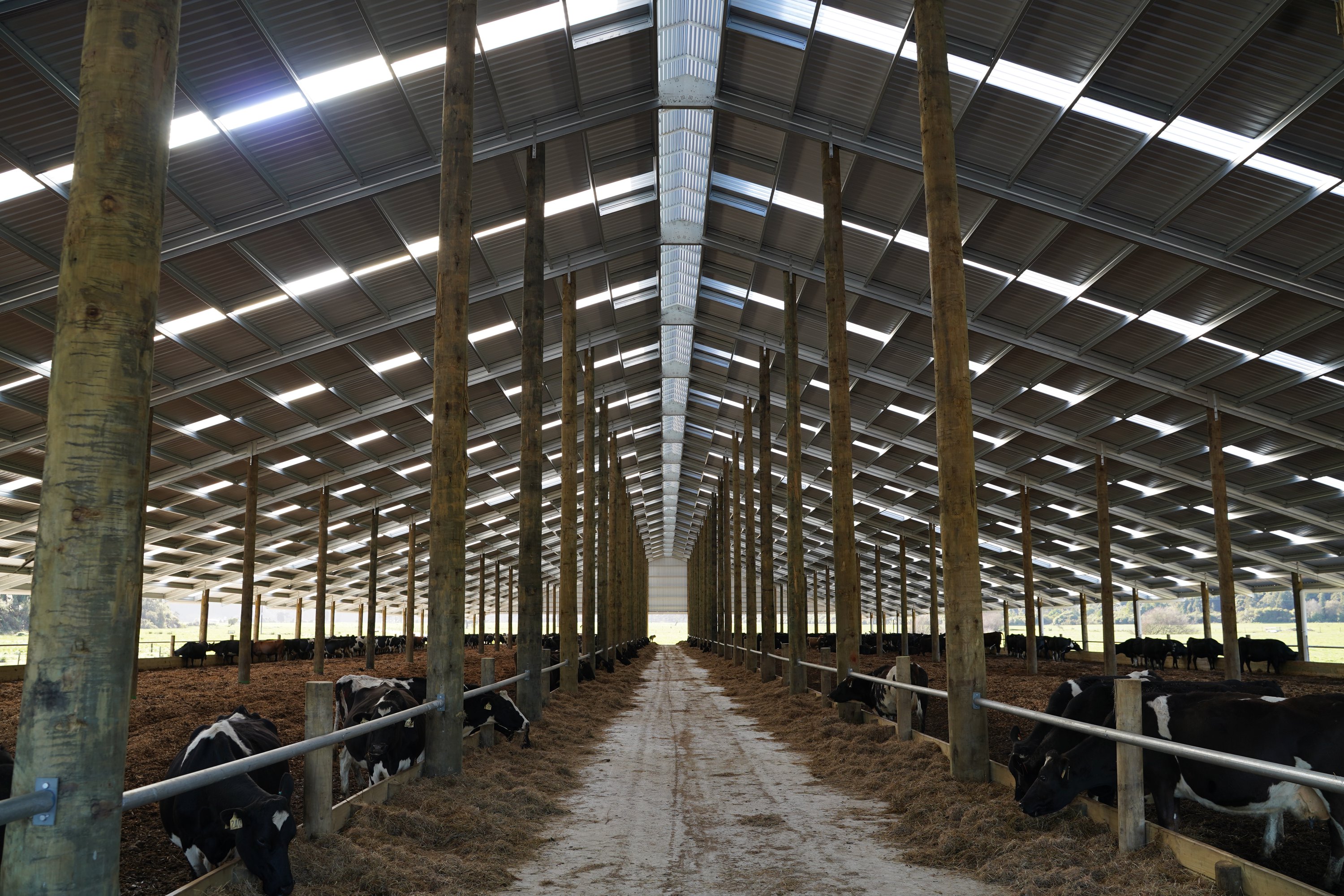 New Zealand’s Top Shed & Barn Builders | Aztech Buildings