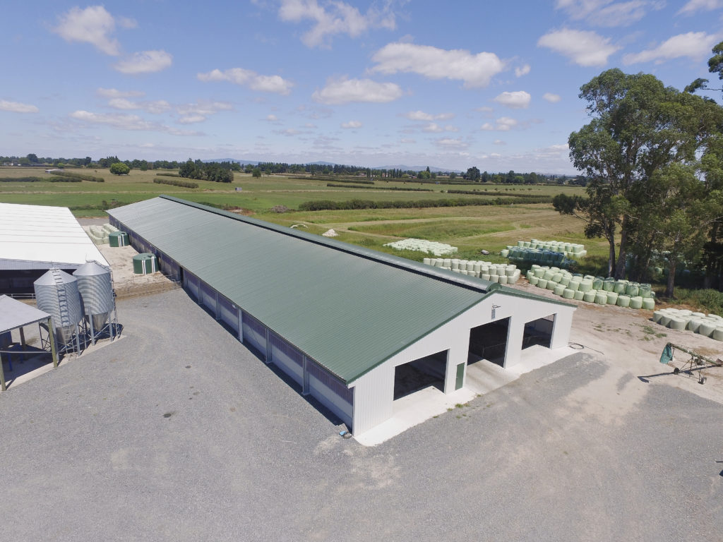 Building a Rural Goat Farm That Helps Increase Production