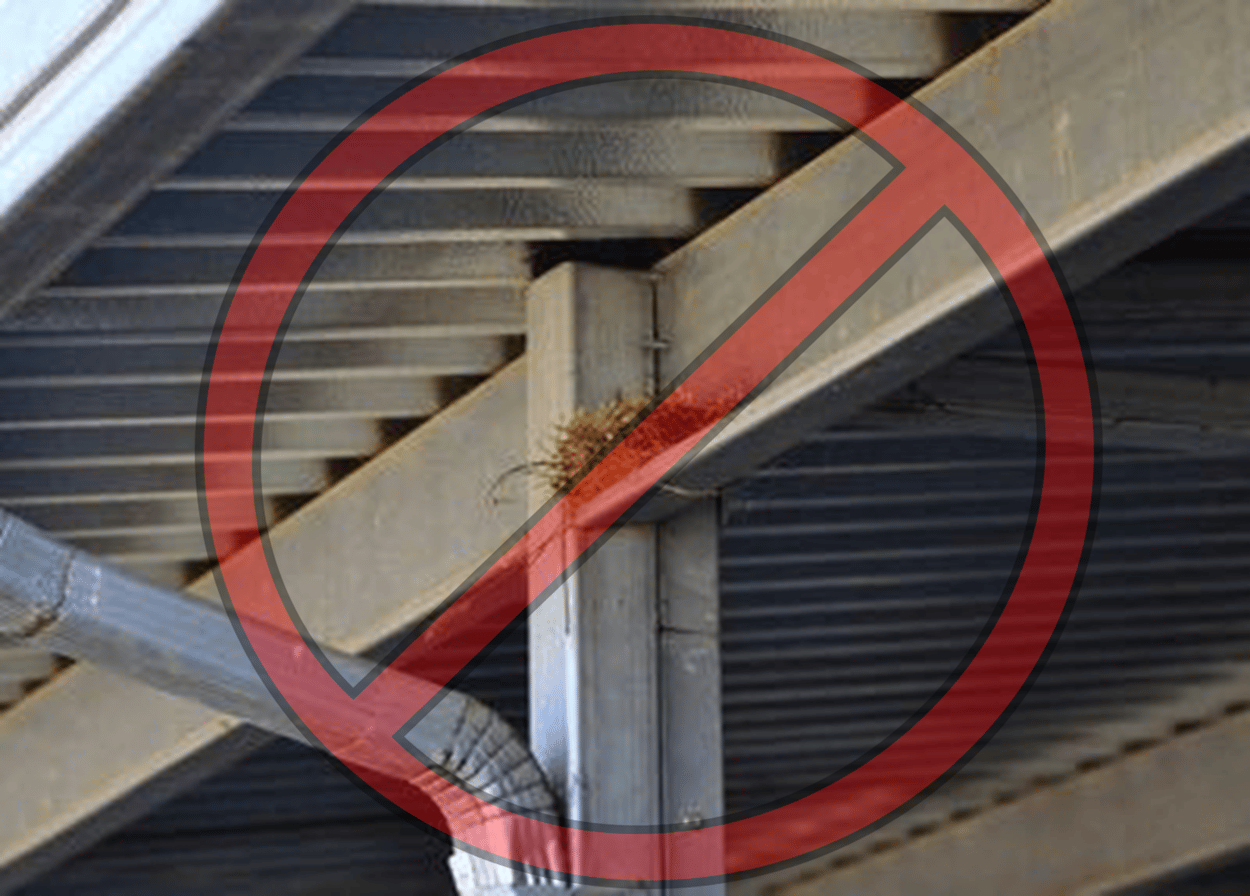 Why is a birdproof building a MUST HAVE?