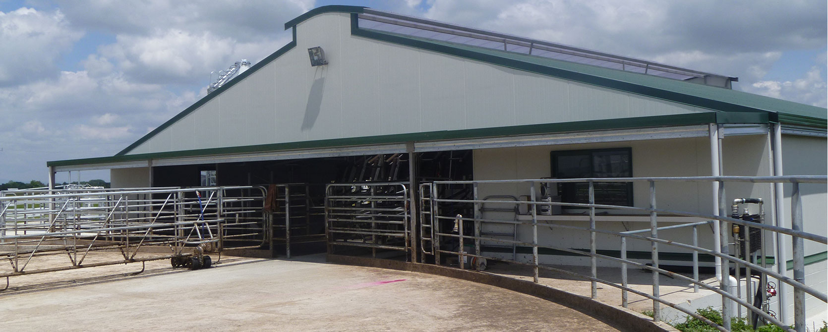 Dairy Shed Builders in NZ | Dairy Structures NZ