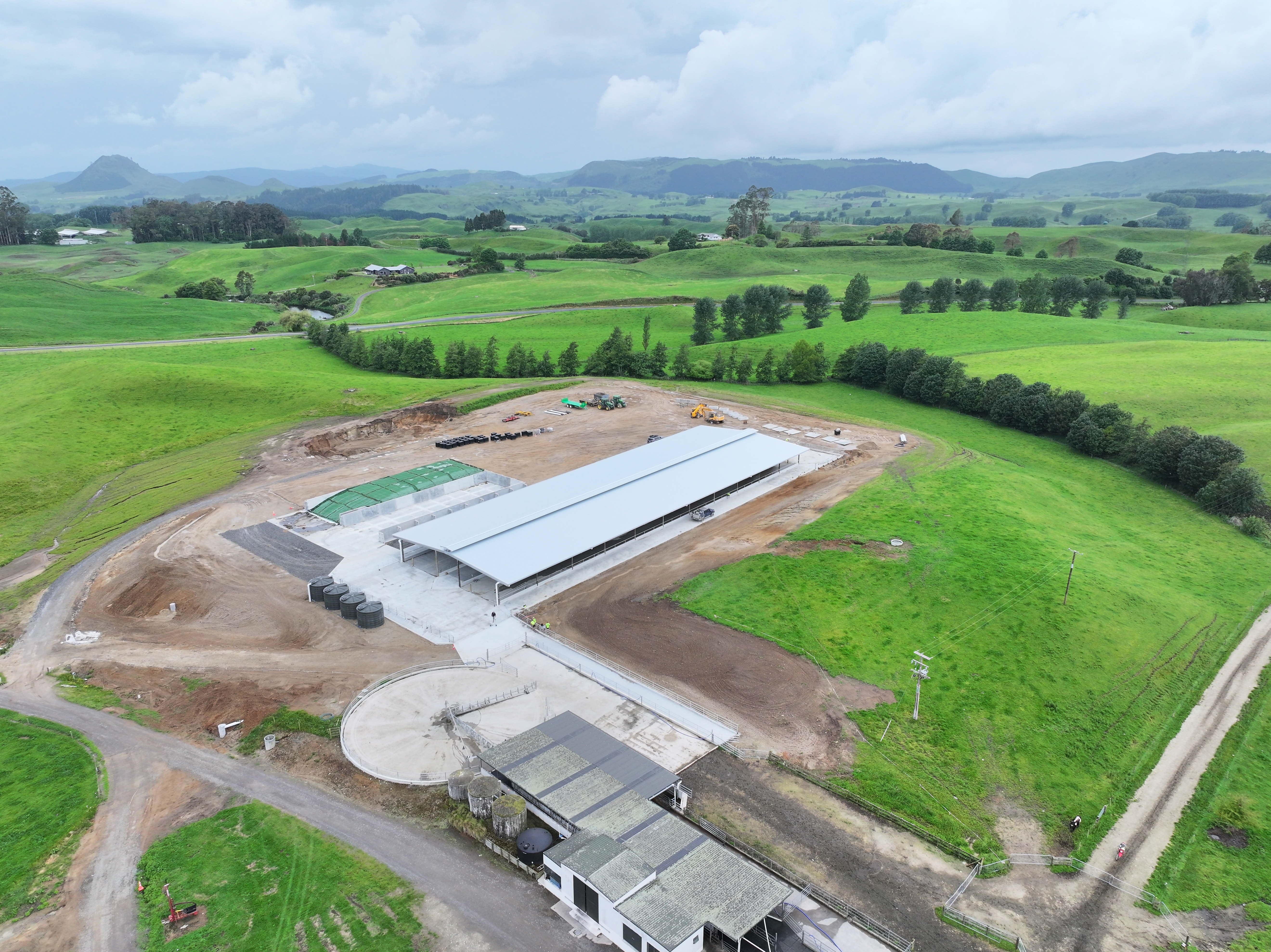 Feedpad Cover for 500 Jersey Cows | Dyer Farm Taupō Waikato | Aztech ...
