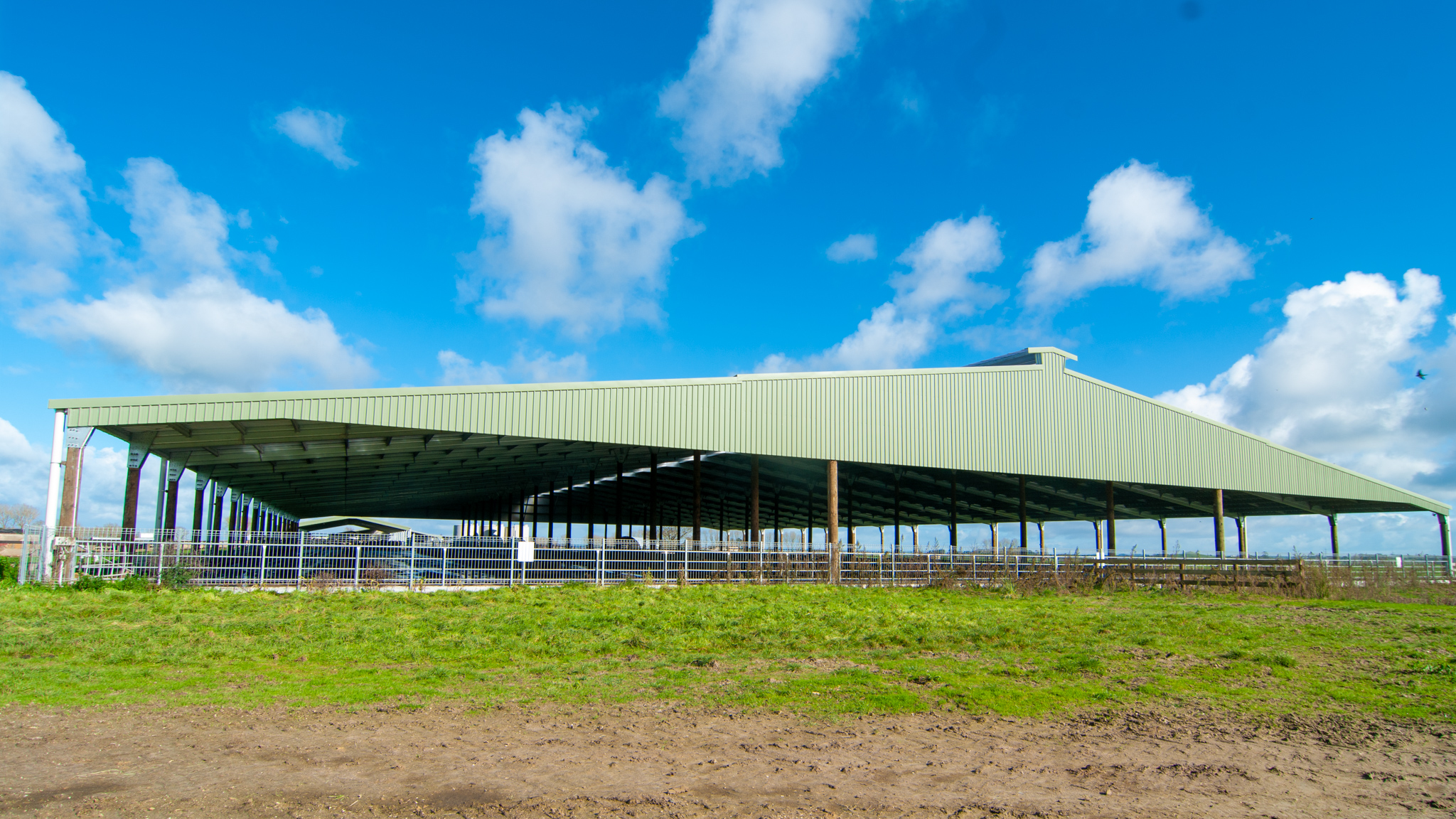 Feed pad Cover transforms local Dairy Farmers Cow Welfare and Production
